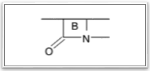 Beta-lactamines | Structure | Mécanisme d’action | Spectre d’activité