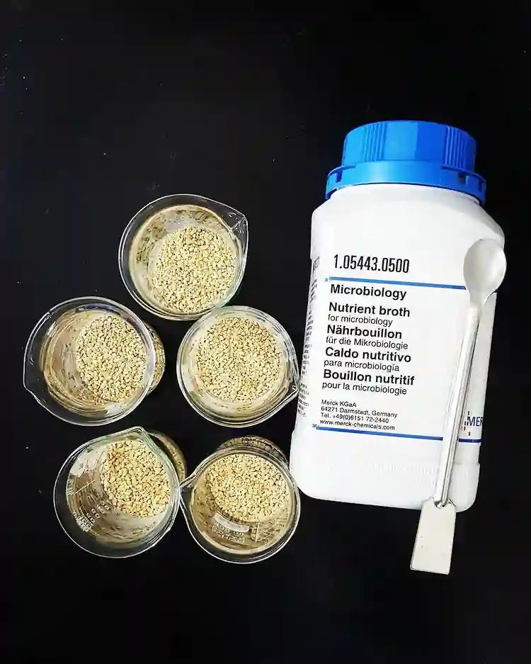 Nutrient broth | Composition | Preparation | Interpretation