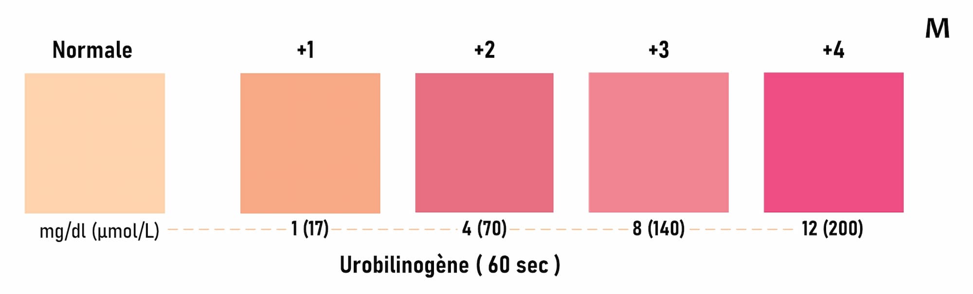 Urobilinogen in Urine: Causes and Interpretation of Results